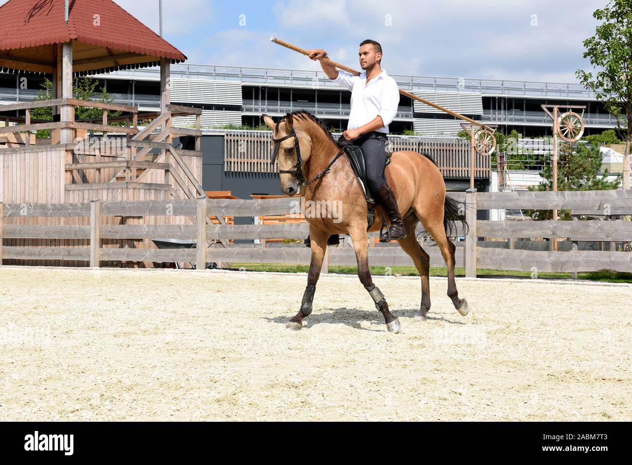 The horse adventure park in Munich-Fröttmanning. In the picture a ...