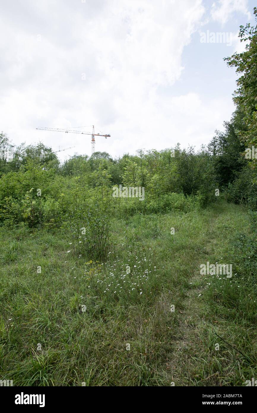 Fallow land hi-res stock photography and images - Alamy