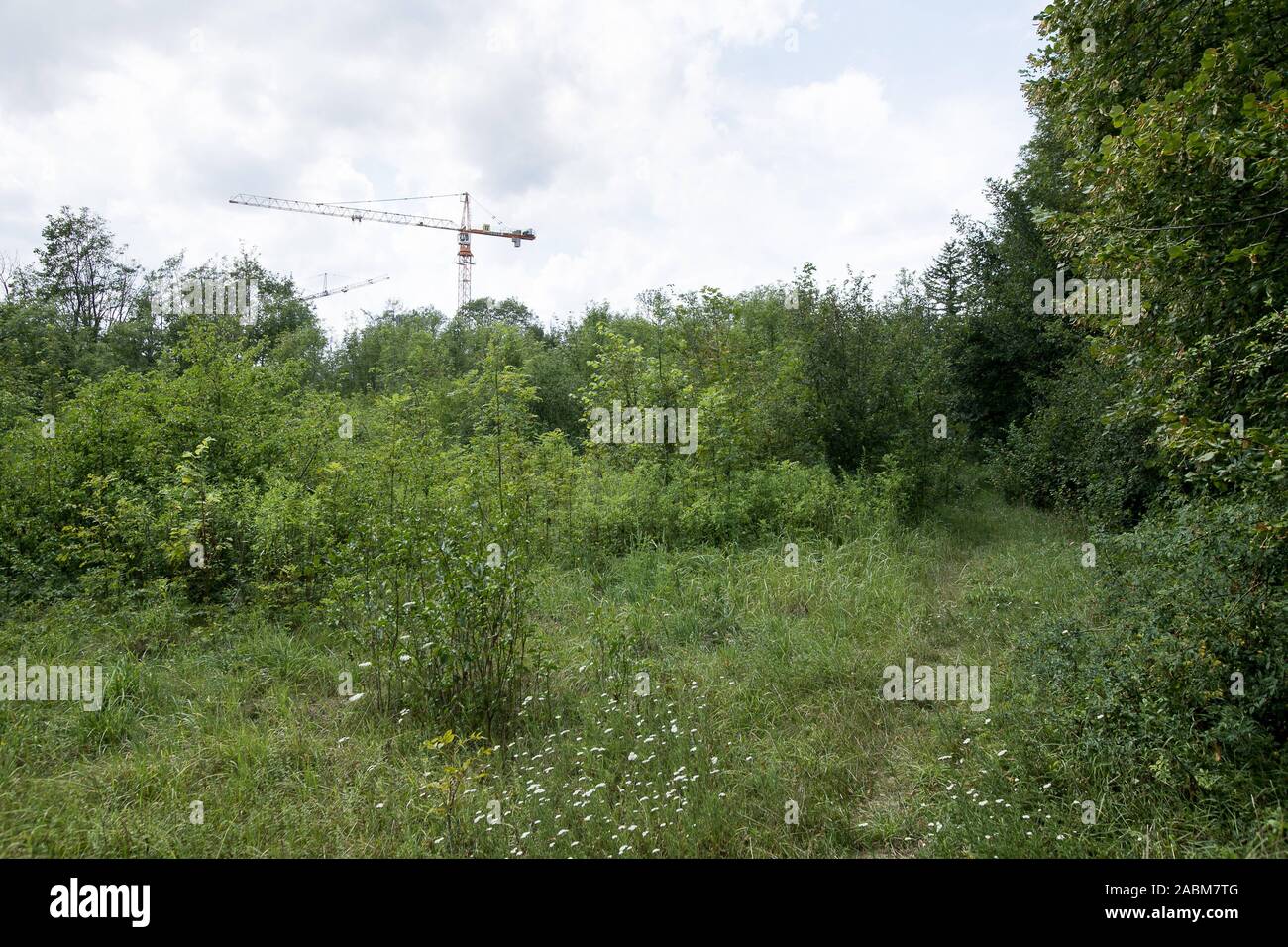 Fallow land hi-res stock photography and images - Alamy
