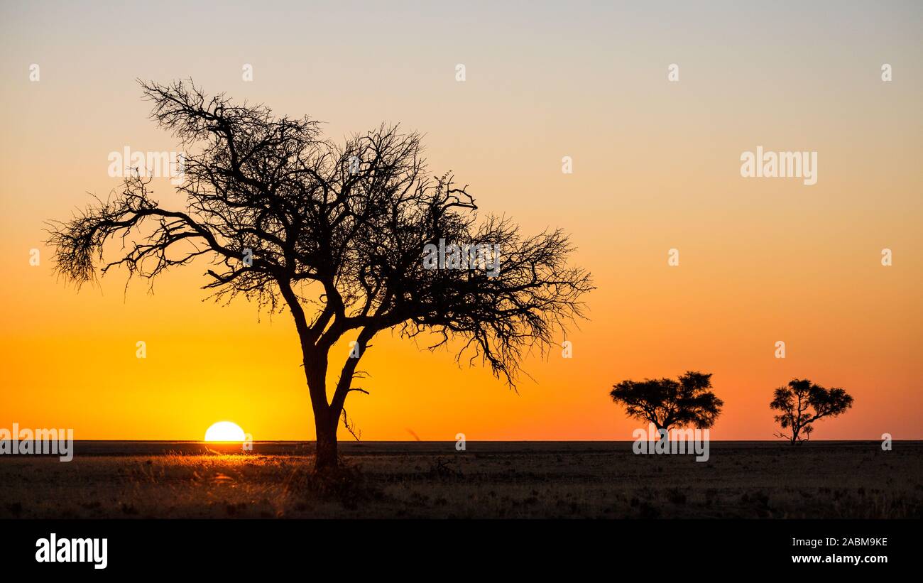 African Sunset Panorama