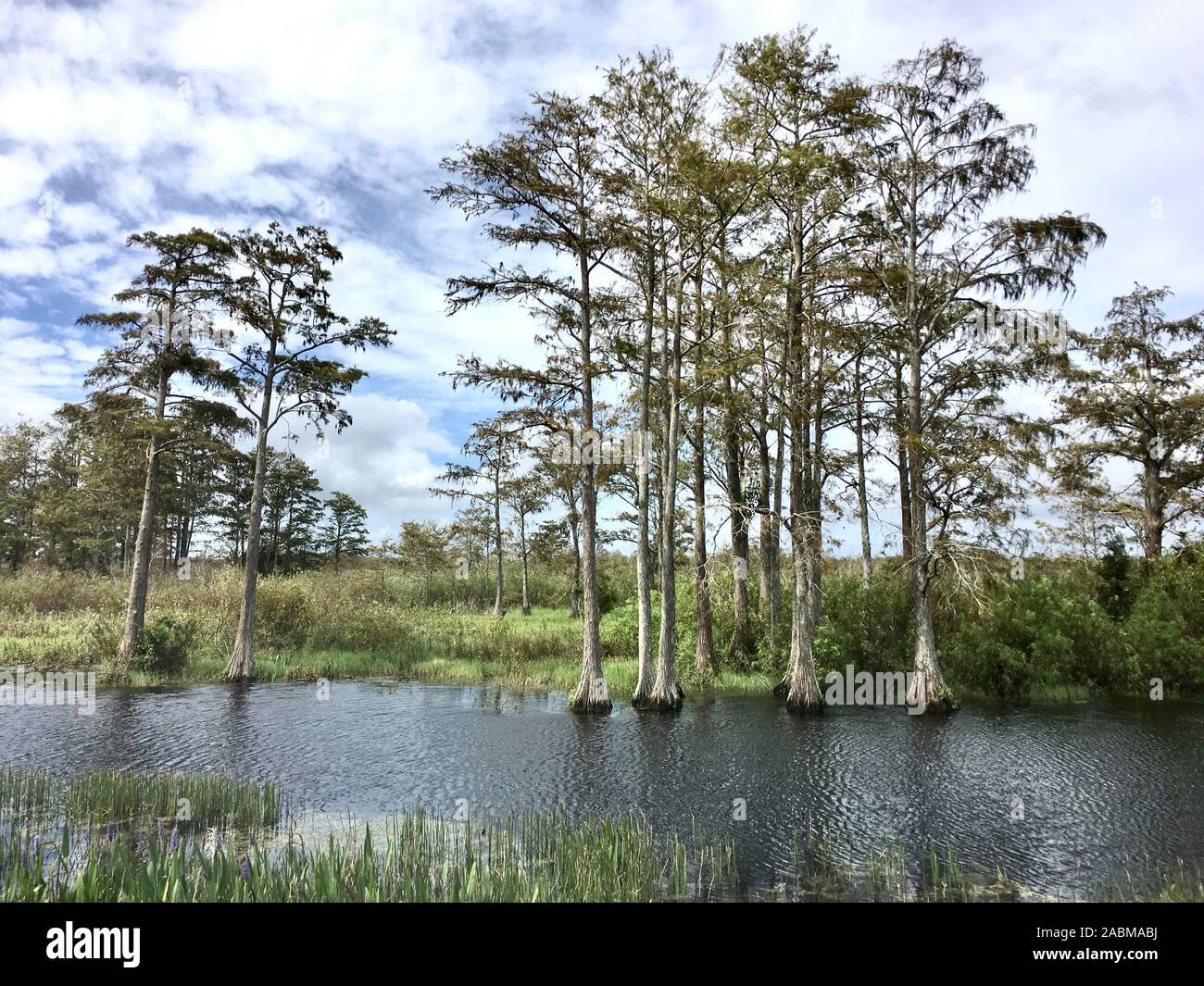 Mississippi coast landscape hi-res stock photography and images - Alamy