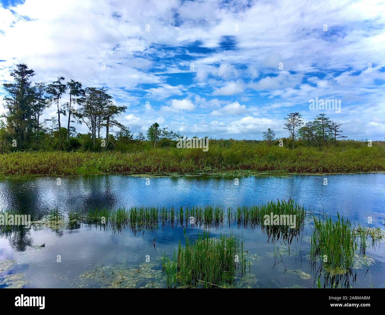 Mississippi coast landscape hi-res stock photography and images - Alamy