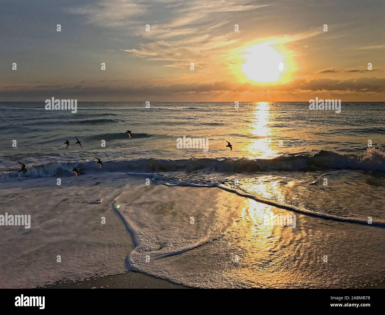 Florida hurricane waves hi-res stock photography and images - Alamy