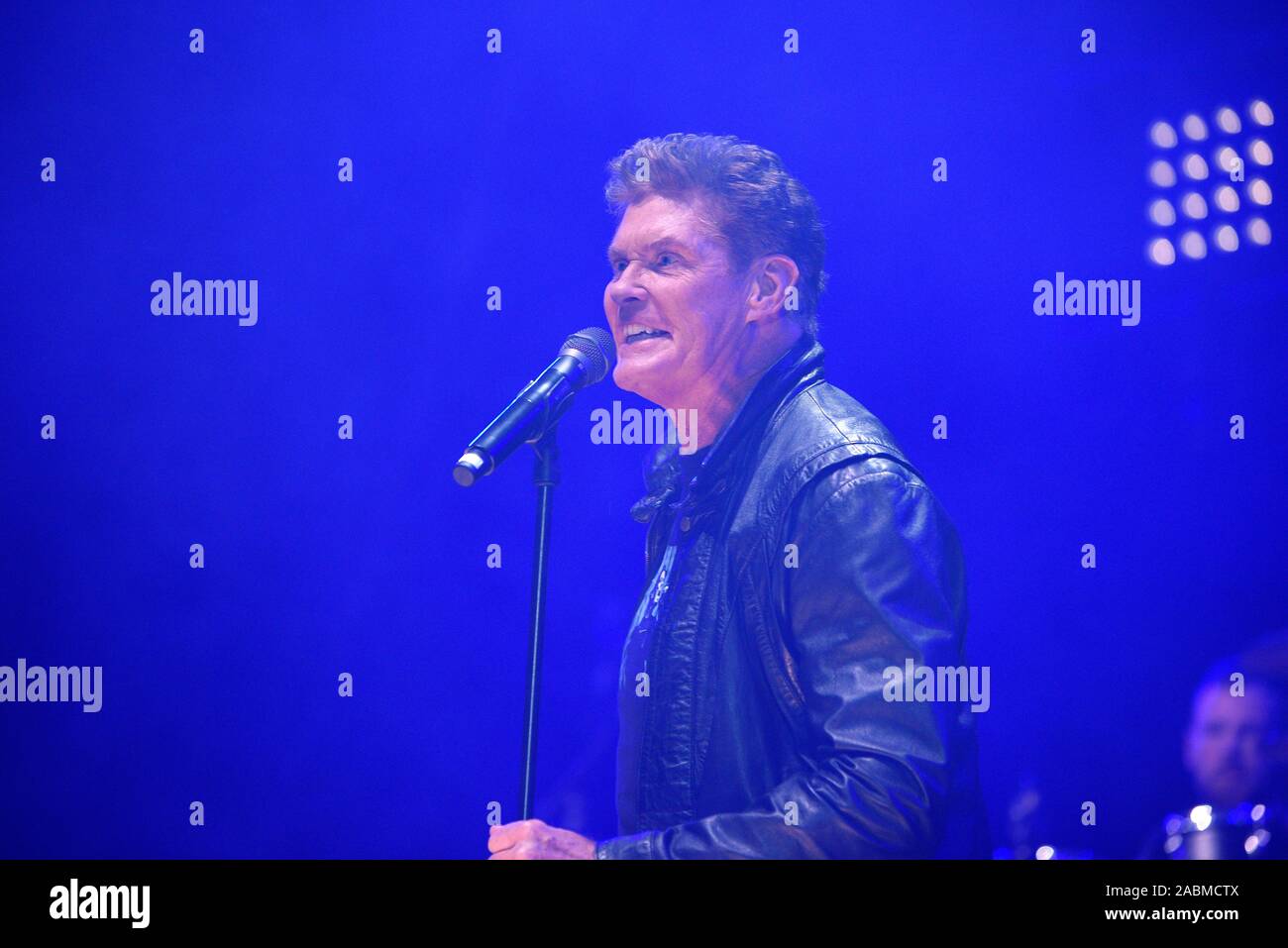 David hasselhoff singer hi-res stock photography and images - Alamy