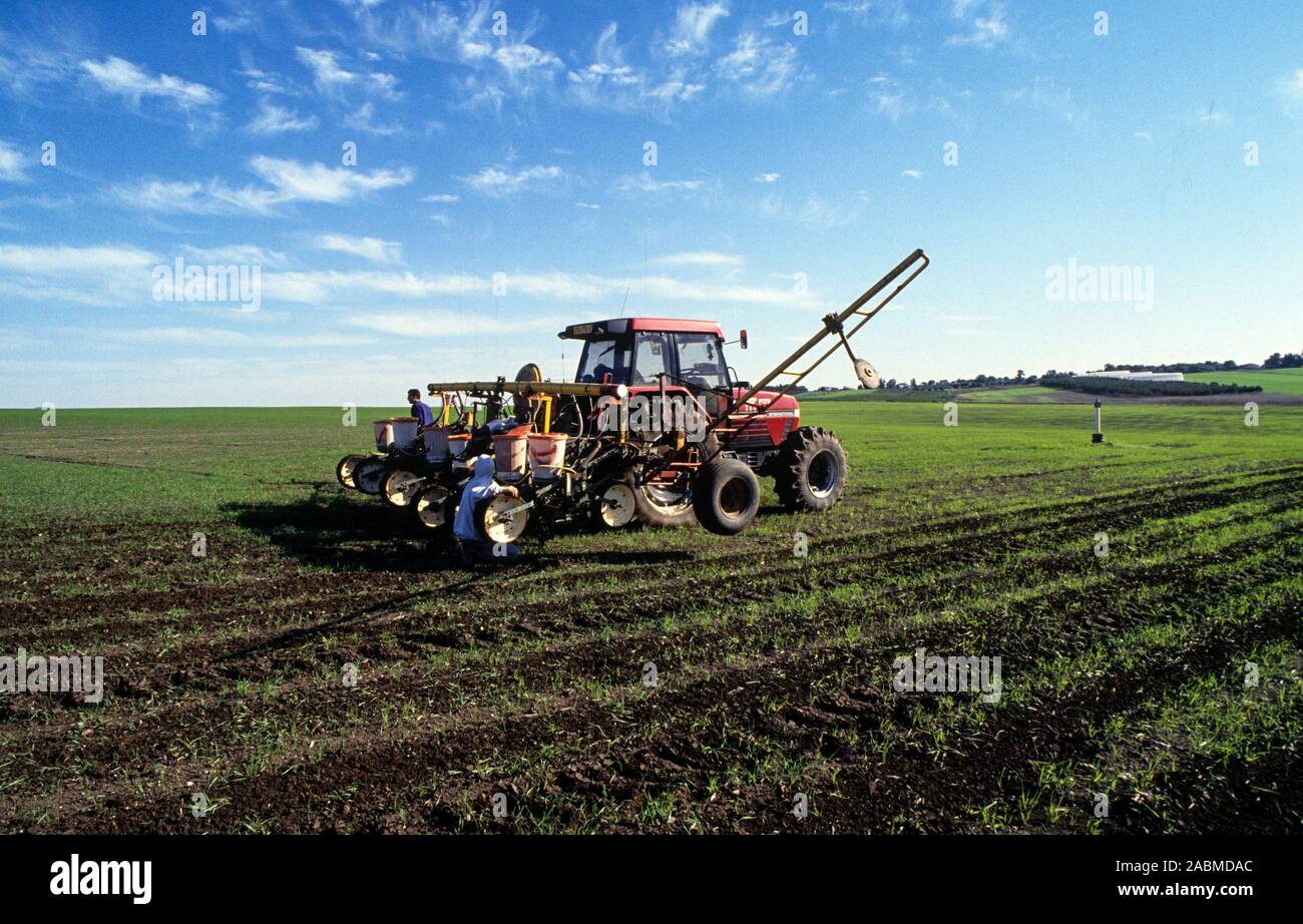 Tractor sowing fields Stock Photo - Alamy