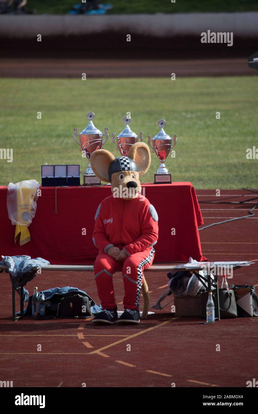 Race day on the speedway racetrack of the MSCO in Olching. In the ...