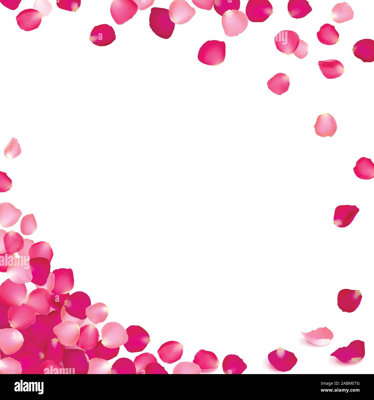 Pink Rose Petal Border