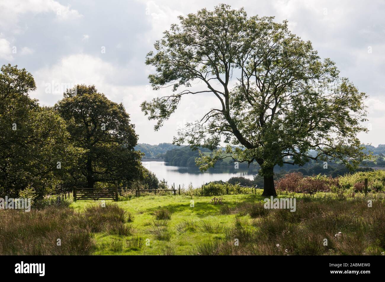 Anglezarke chorley hi-res stock photography and images - Alamy