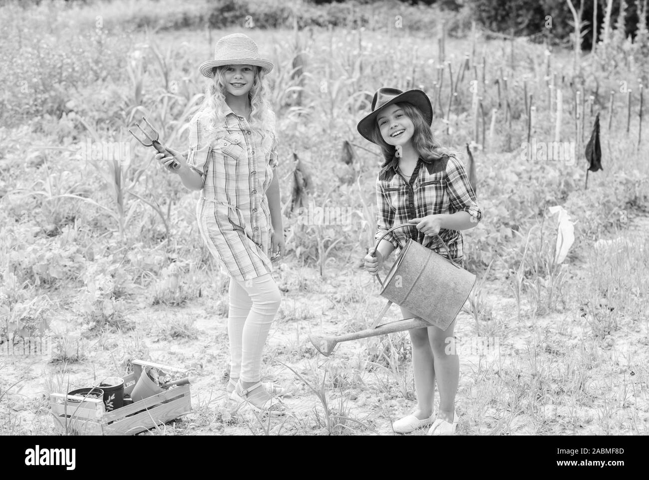 Warm atmosphere. protect nature. Rich harvest. earth day. summer family ...