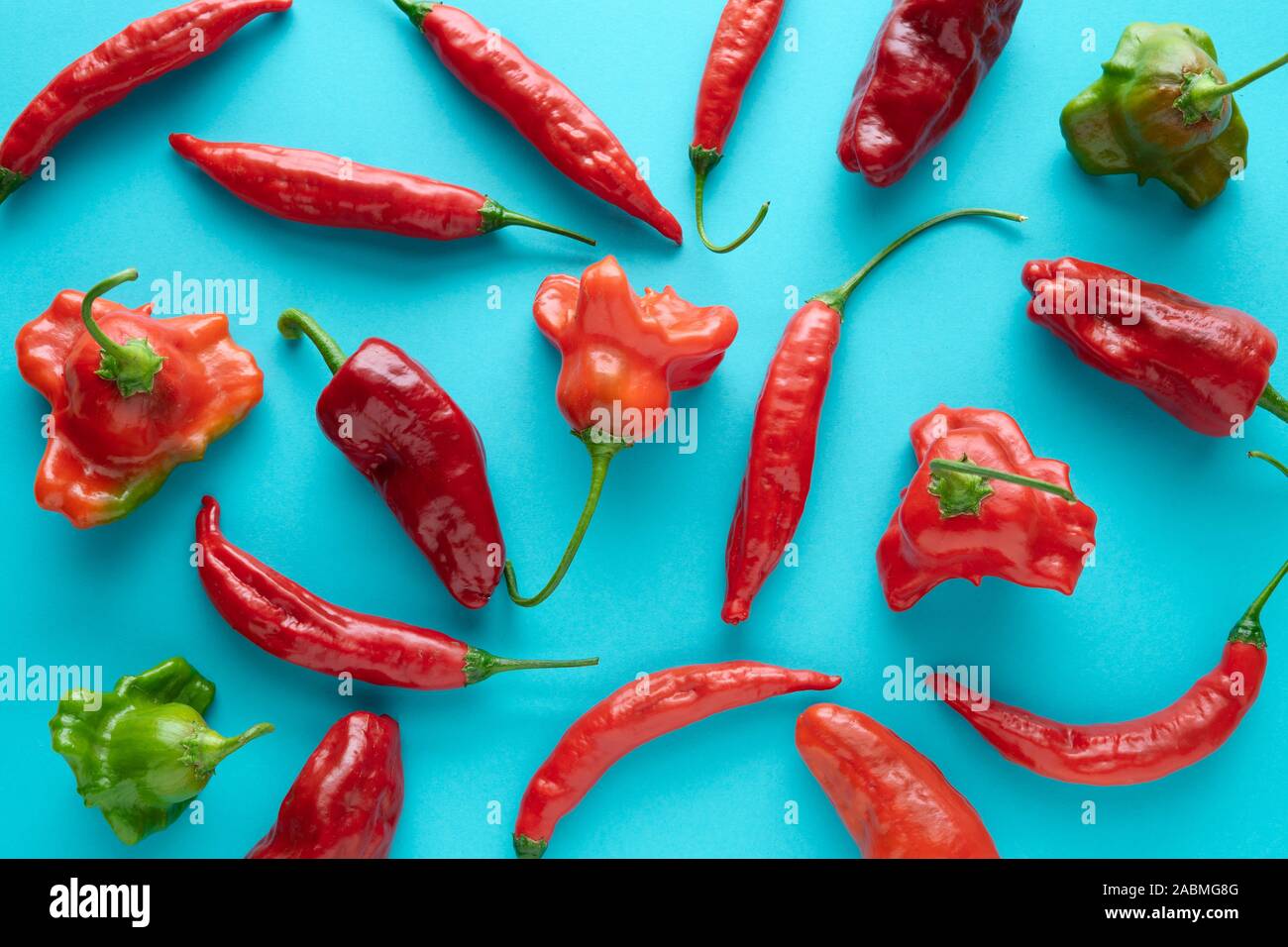Peppers on a blue background. Flat lay. top view Stock Photo - Alamy