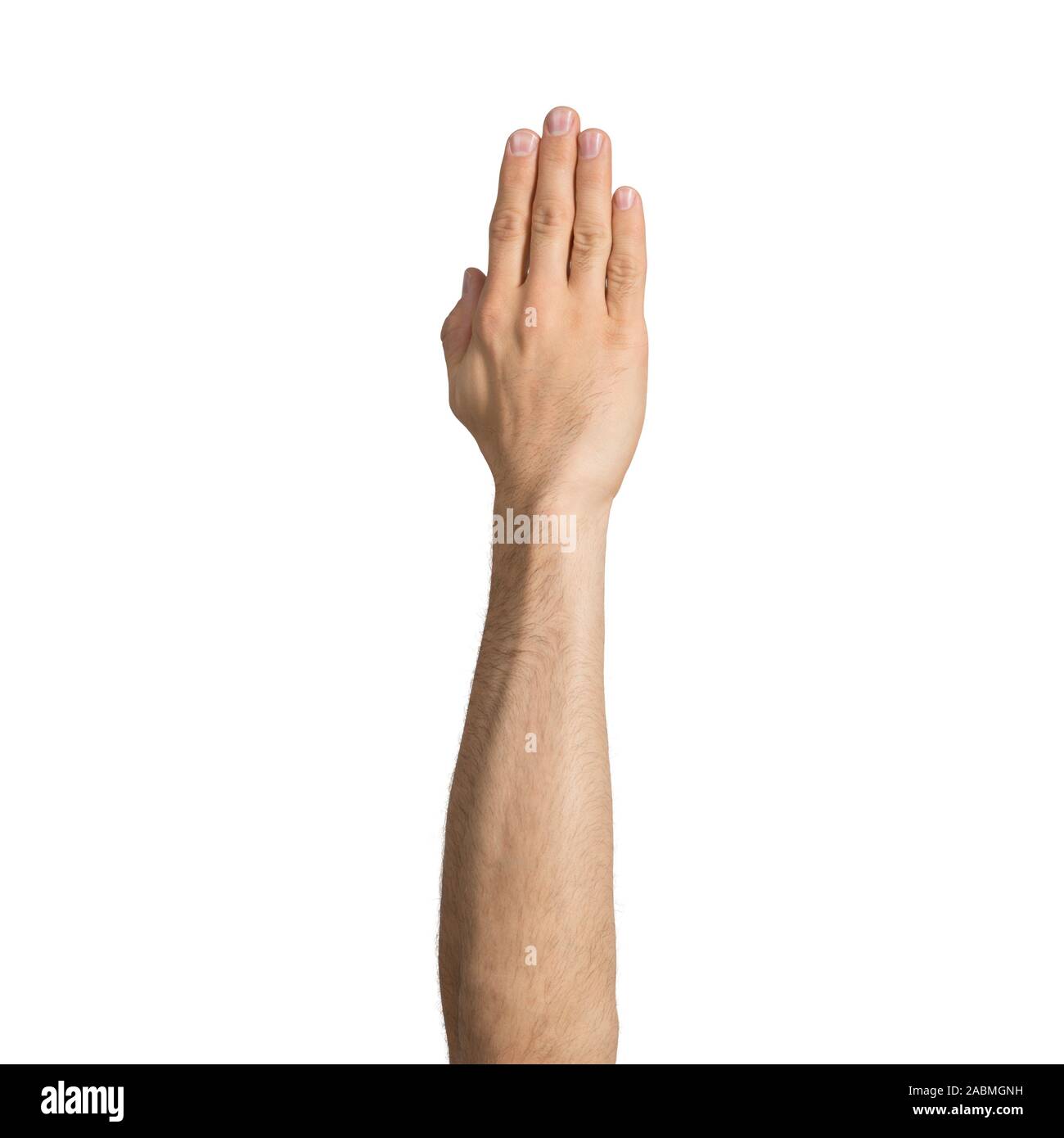 Adult man hand showing open palm gesture Stock Photo - Alamy