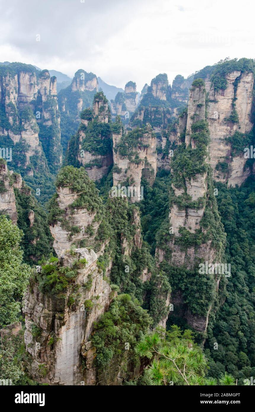 Pillar rock formations in Zhangjiajie National Forest Park (China ...
