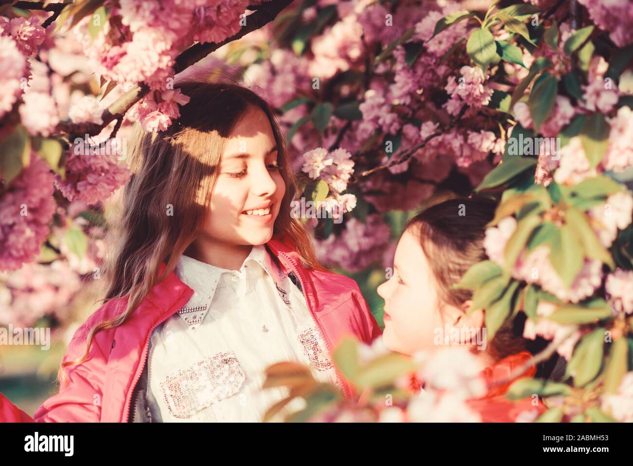 Kids enjoying cherry blossom. Pink is our favorite. Flowers soft tender ...