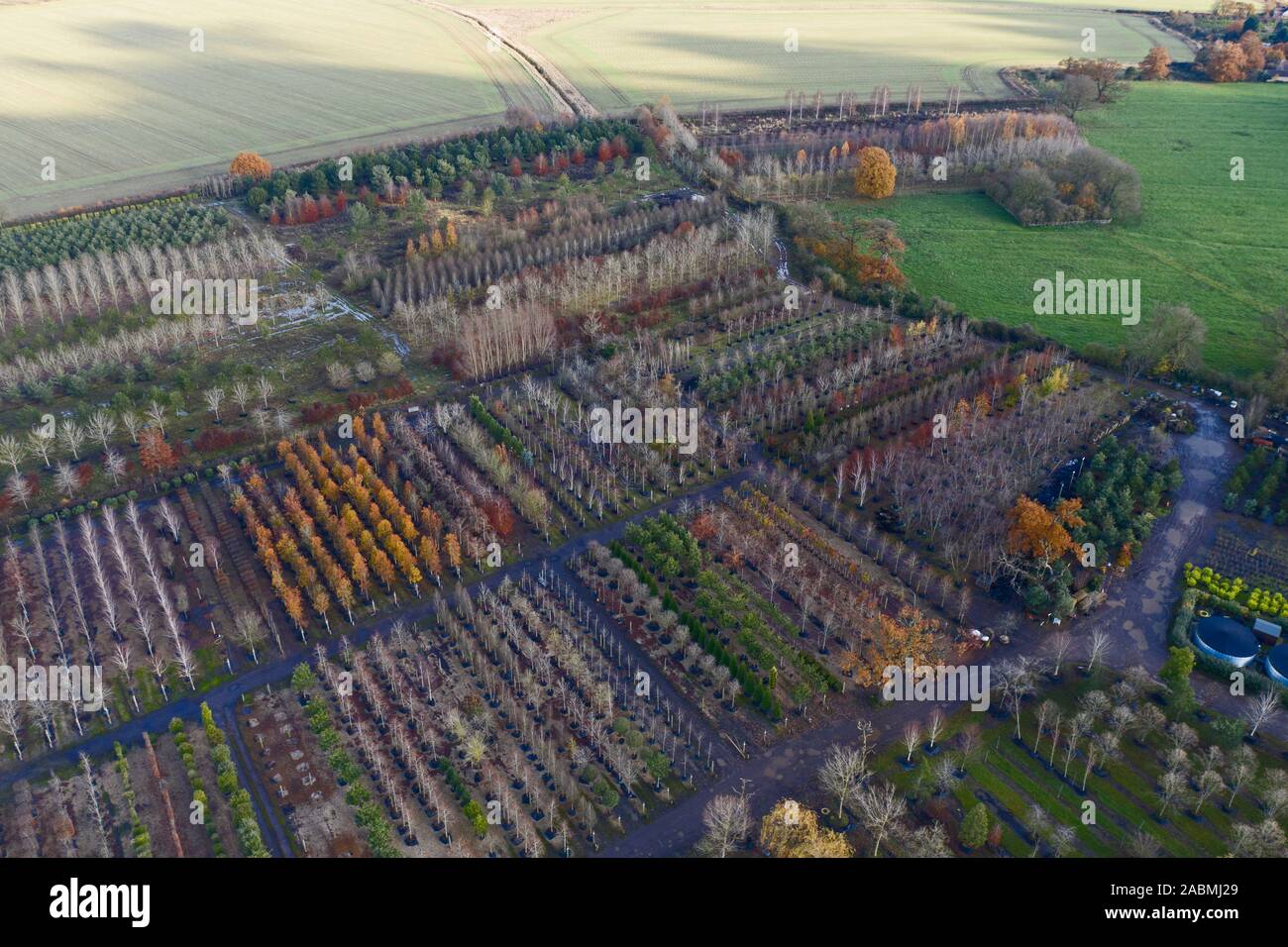 Aerial photography tree nursery hi-res stock photography and images - Alamy