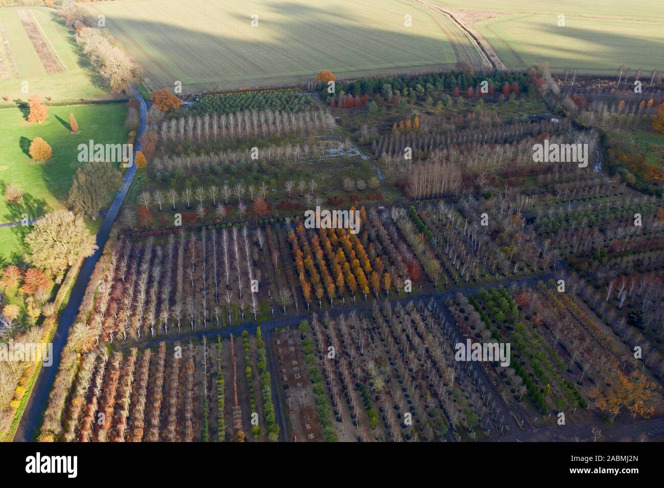 Aerial photography tree nursery hi-res stock photography and images - Alamy