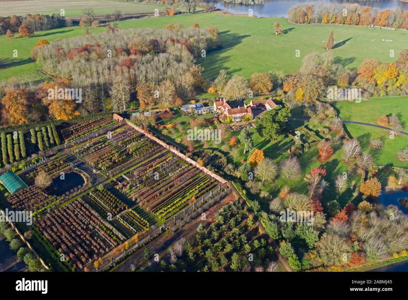Drone images of tree nursery hi-res stock photography and images - Alamy