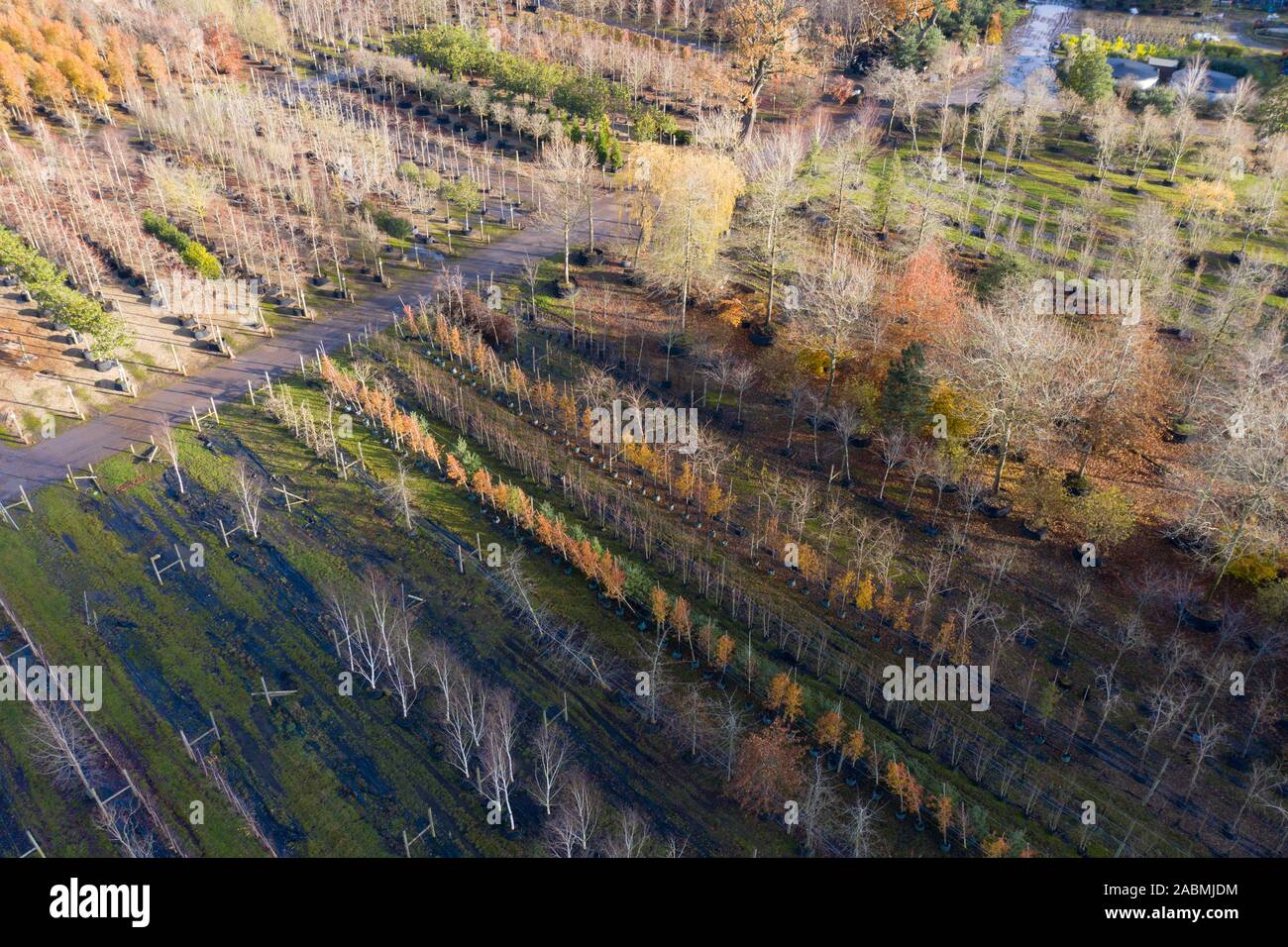 Drone photography tree nursery hi-res stock photography and images - Alamy