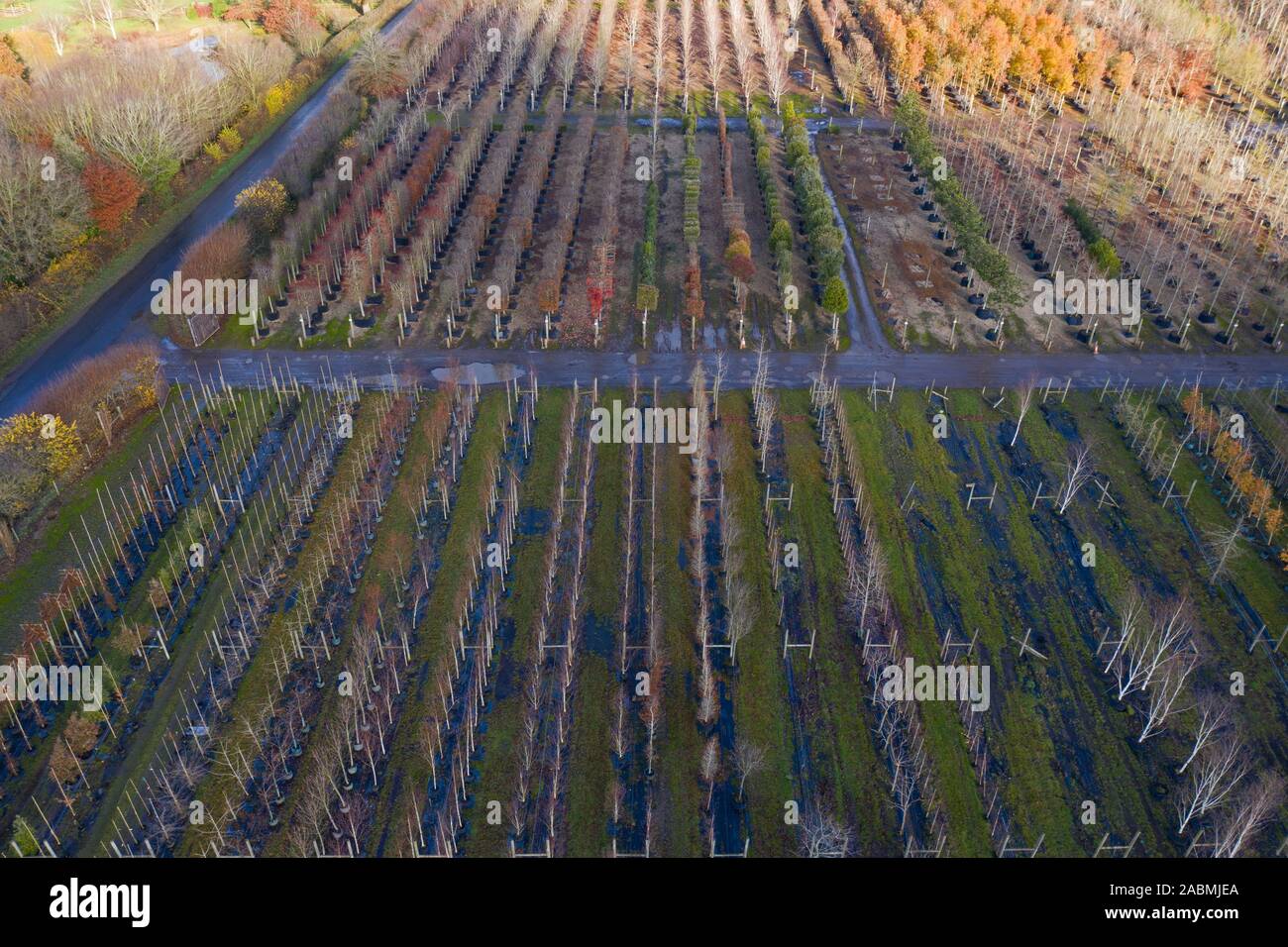 aerial photographs of tree nursery Stock Photo - Alamy