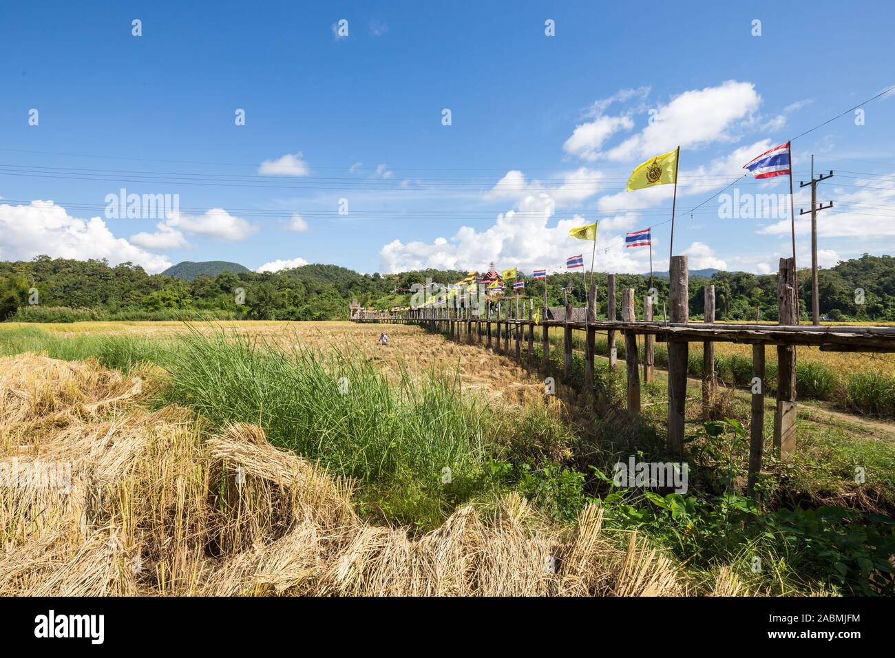 Bridge in countryside in field, clear weather outside Stock Photo - Alamy
