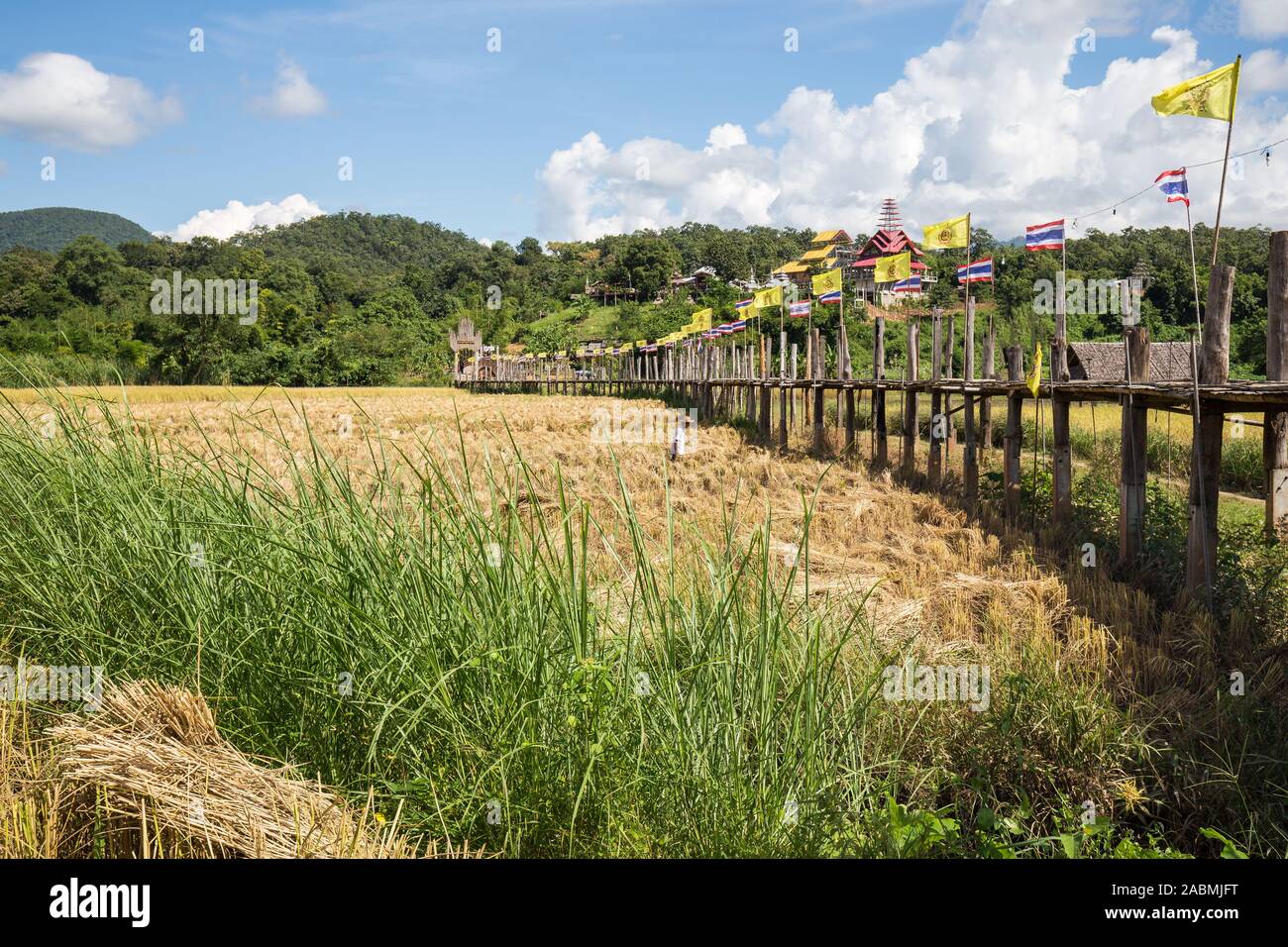 Bridge in countryside in field, clear weather outside Stock Photo - Alamy