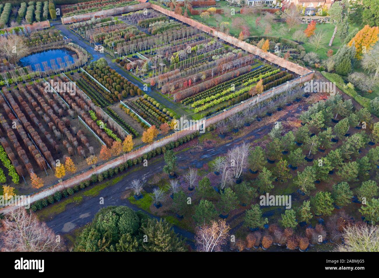 Aerial photography tree nursery hi-res stock photography and images - Alamy