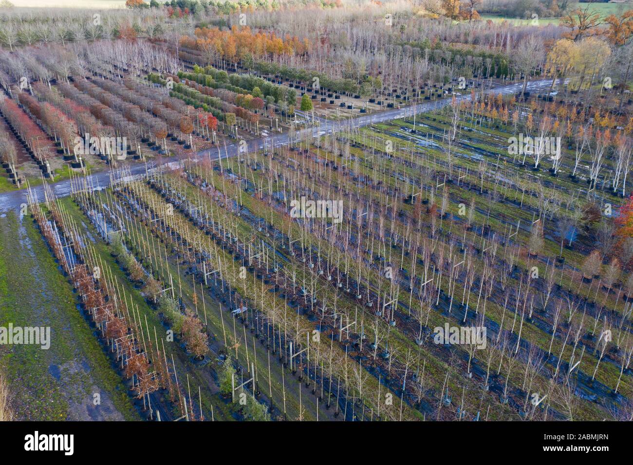 aerial photographs of tree nursery Stock Photo - Alamy