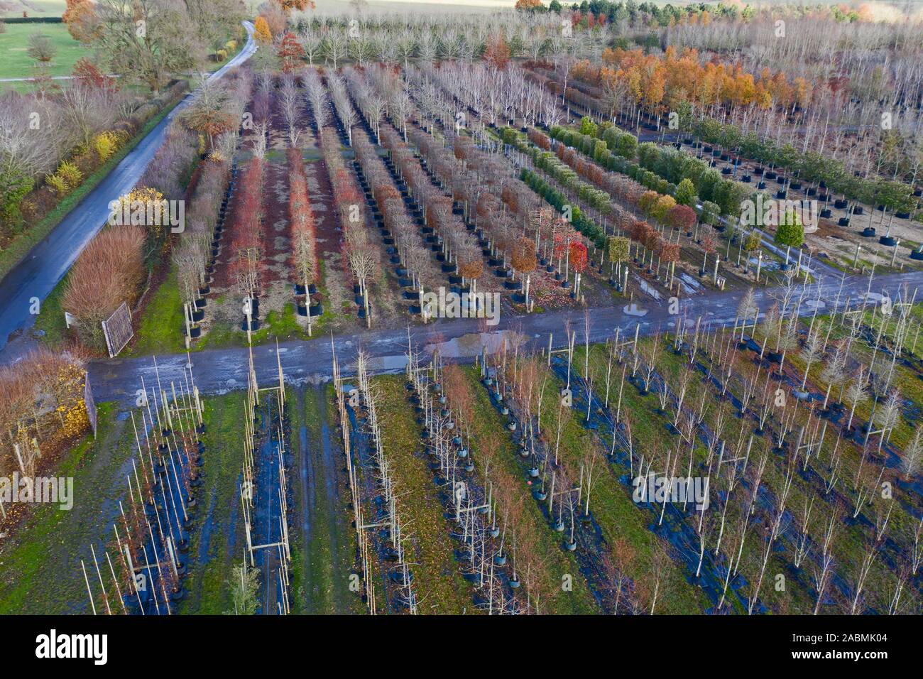 aerial photographs of tree nursery Stock Photo - Alamy