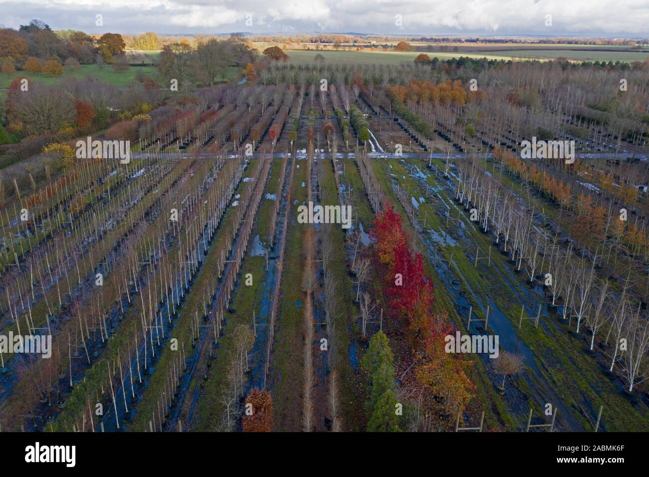 aerial photographs of tree nursery Stock Photo - Alamy