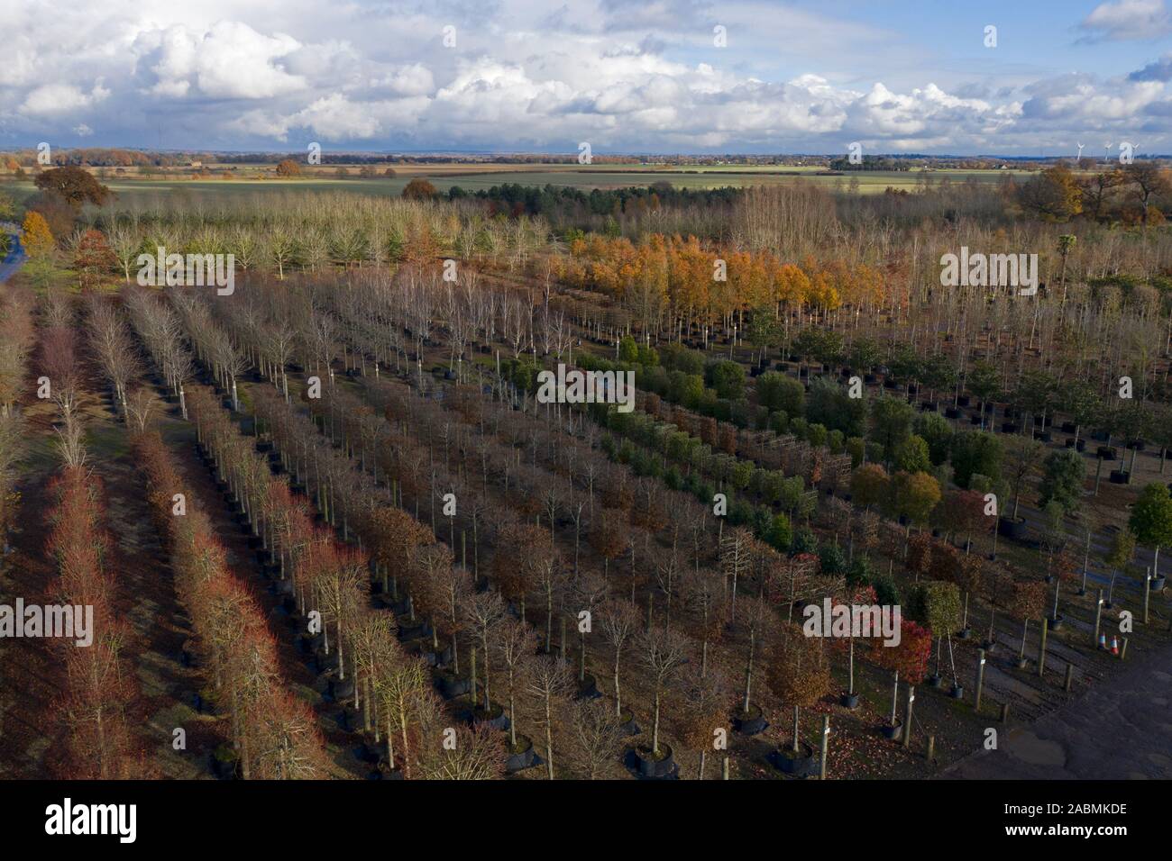 aerial photographs of tree nursery Stock Photo - Alamy