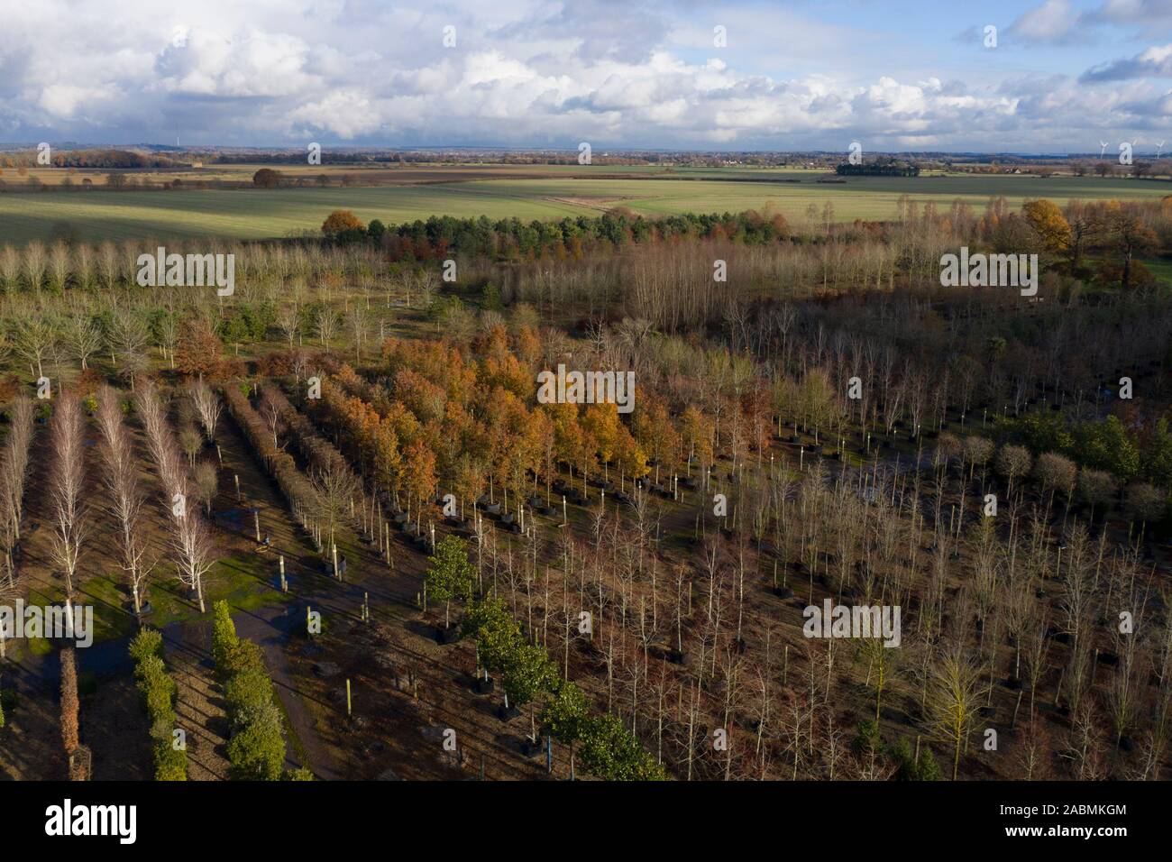 aerial photographs of tree nursery Stock Photo - Alamy