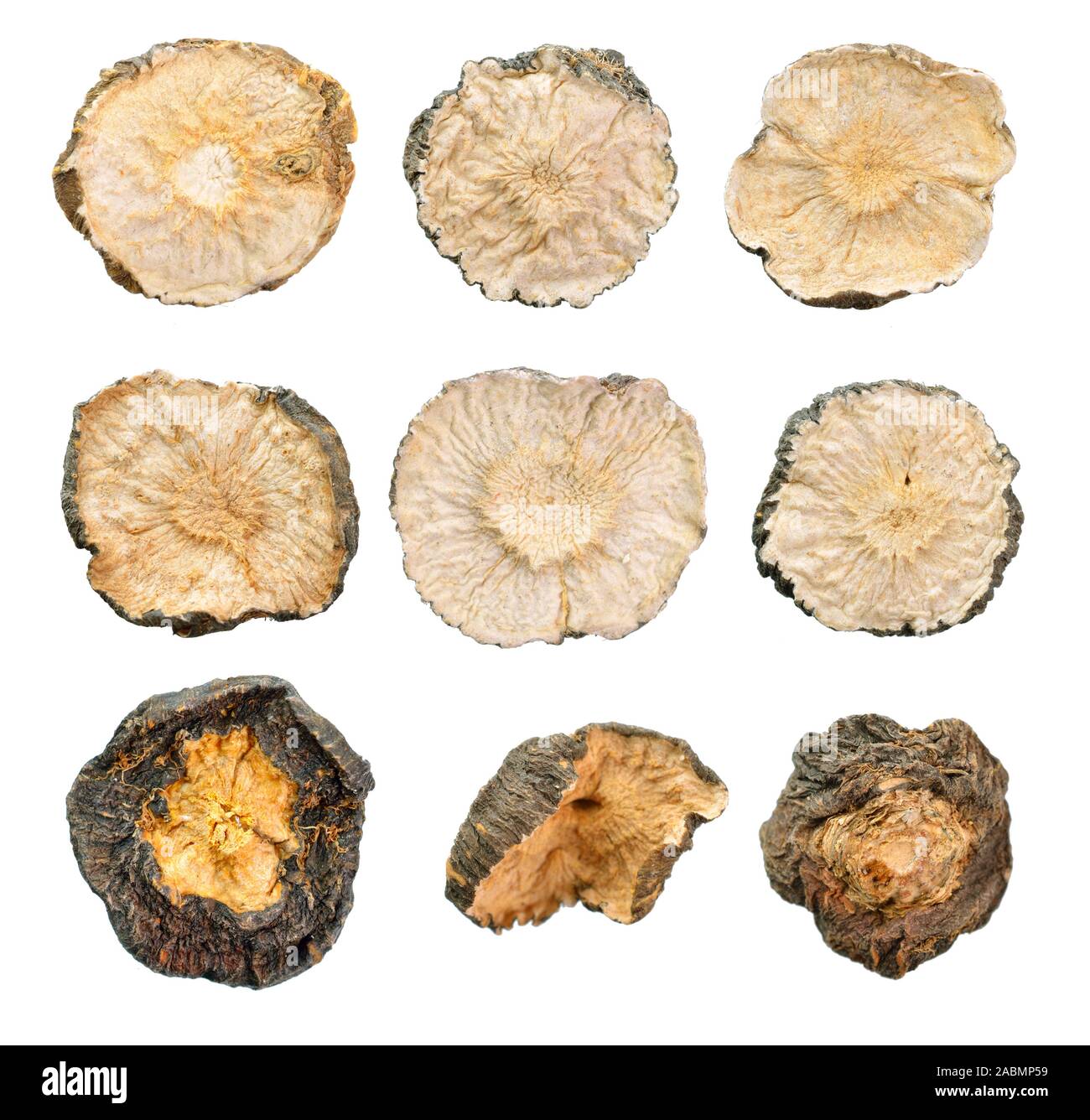 Dried sliced Lepidium meyenii, known as maca or Peruvian ginseng ...