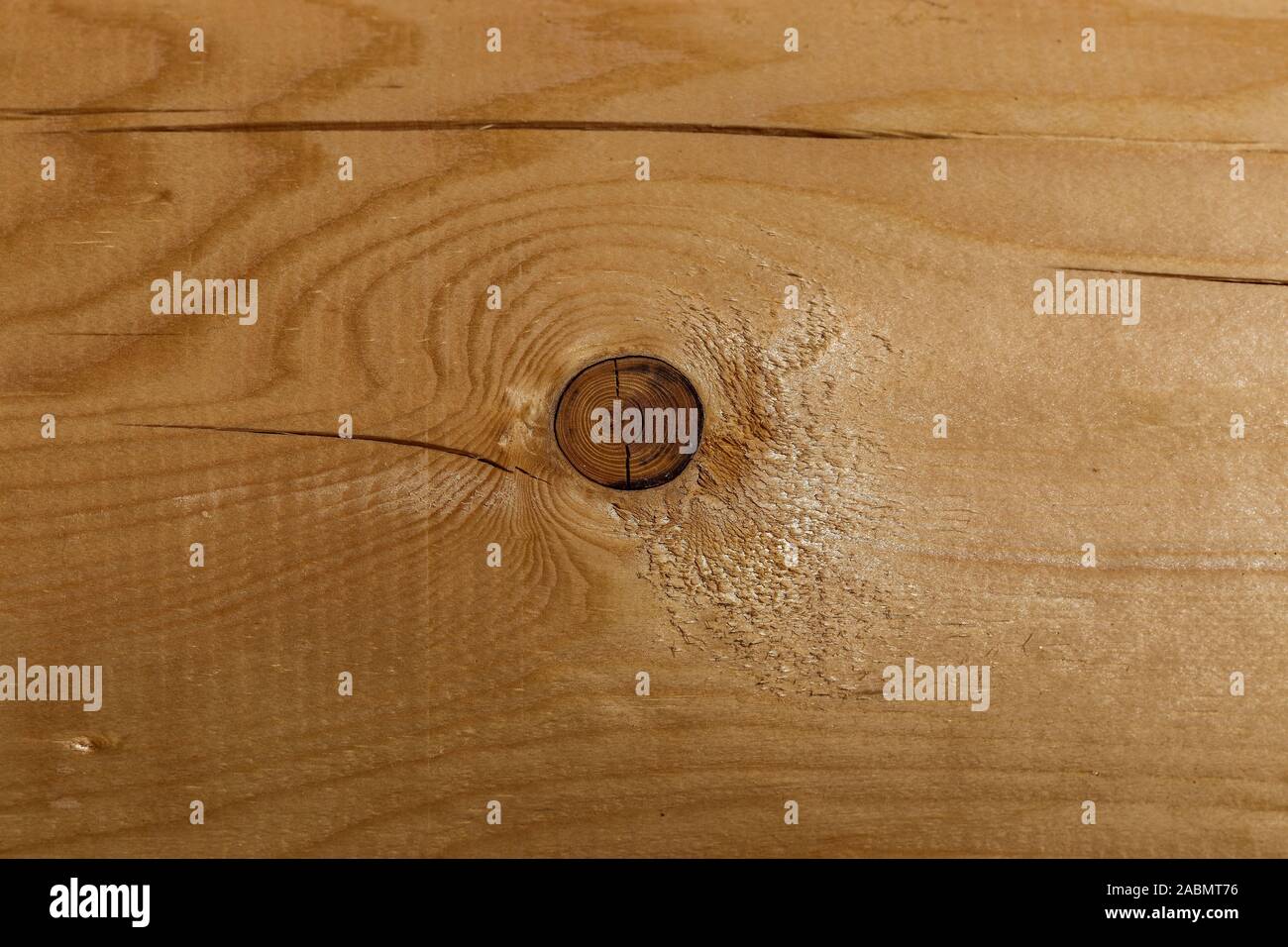 Wooden log of pine as a background texture for design Stock Photo - Alamy