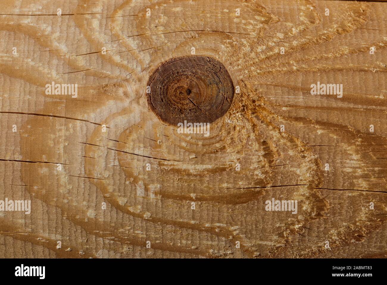 Wooden log of pine as a background texture for design Stock Photo - Alamy