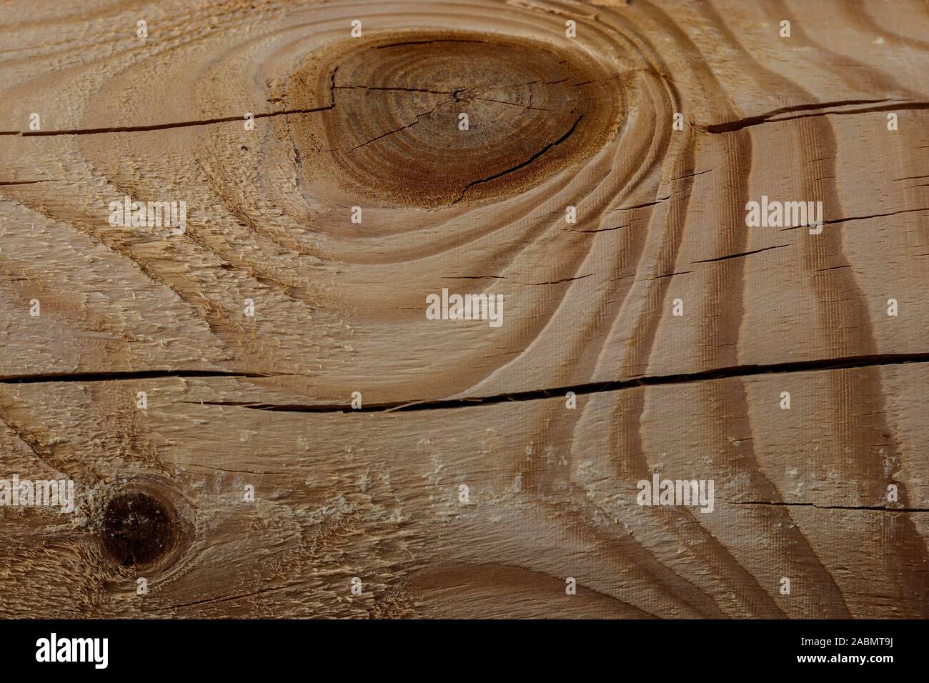 Wooden log of pine as a background texture for design Stock Photo - Alamy