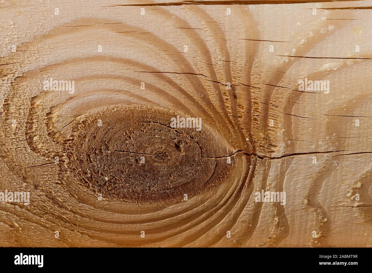 Wooden log of pine as a background texture for design Stock Photo - Alamy