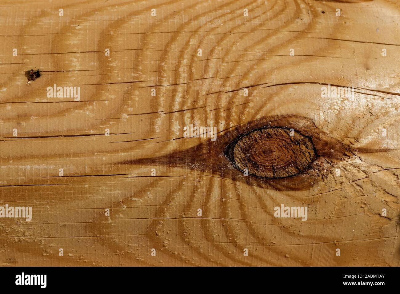 Wooden log of pine as a background texture for design Stock Photo - Alamy