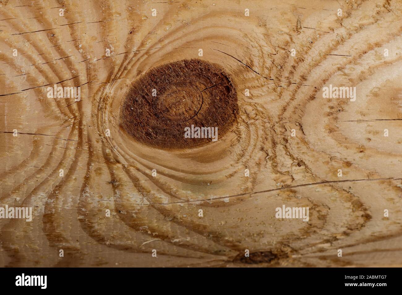 Wooden log of pine as a background texture for design Stock Photo - Alamy
