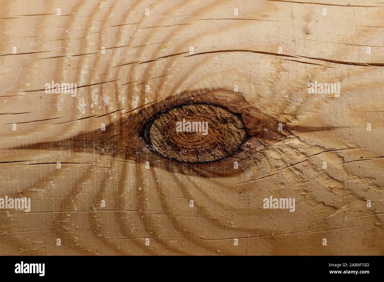Wooden log of pine as a background texture for design Stock Photo - Alamy