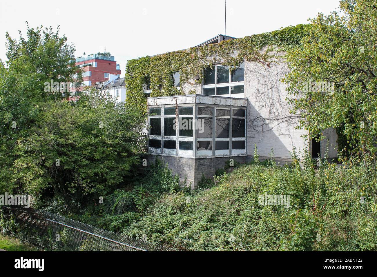 Old abandoned building overgrown plants, covered with green plants ... Old abandoned building overgrown plants, covered with green plants ...