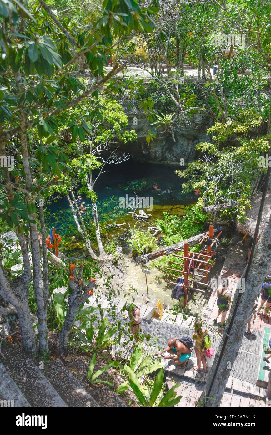 Grand Cenote, Tulum, Quintana Roo, Mexiko Stock Photo - Alamy