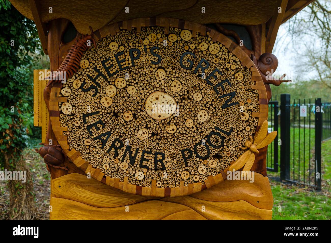 Sheeps green swimming pool hi-res stock photography and images - Alamy
