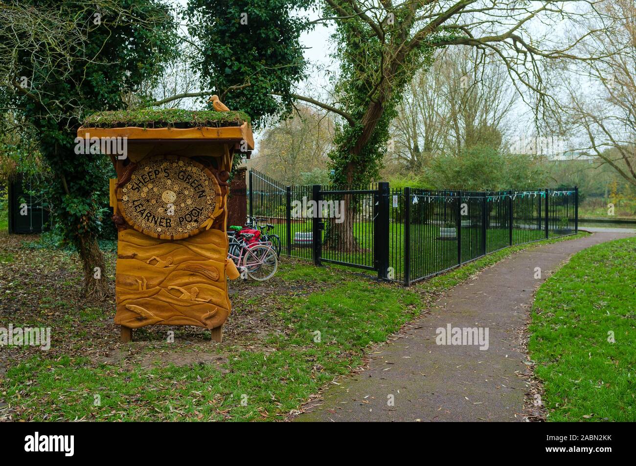 Sheeps green swimming pool hi-res stock photography and images - Alamy