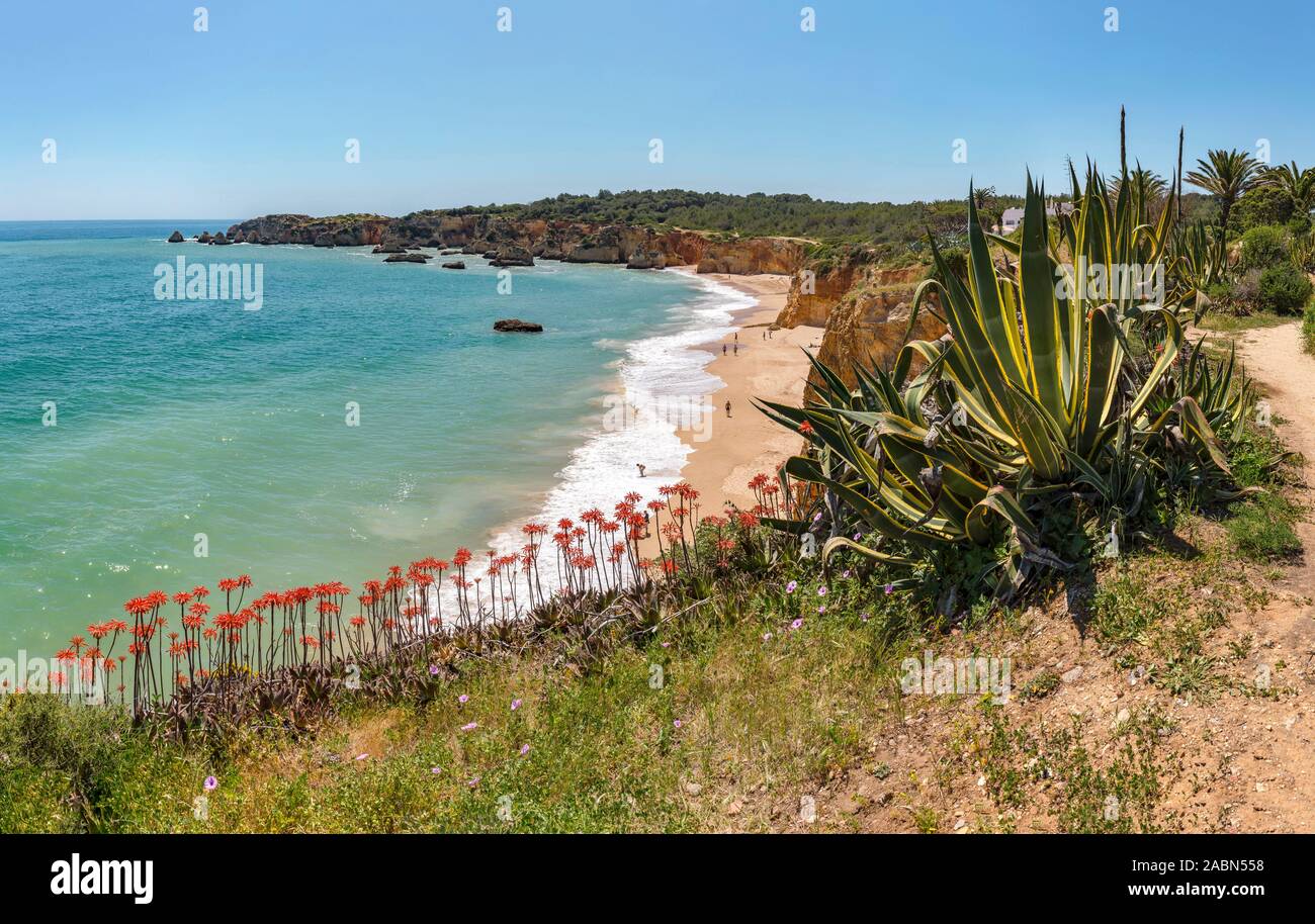 Praia do alemao hi-res stock photography and images - Alamy