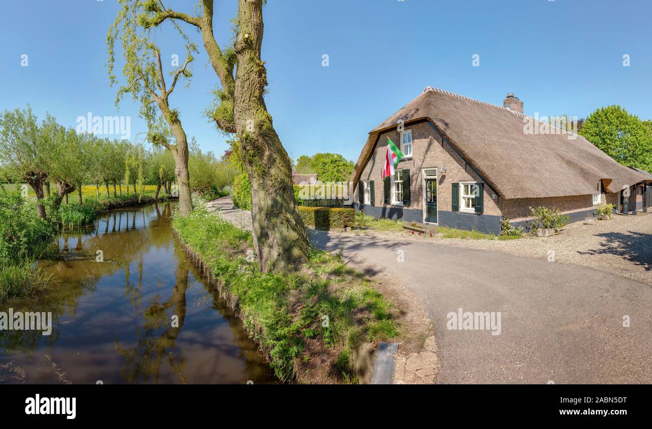 Farmhouse with thatched roof at a tree lined stream, Noordeloos, Zuid ...