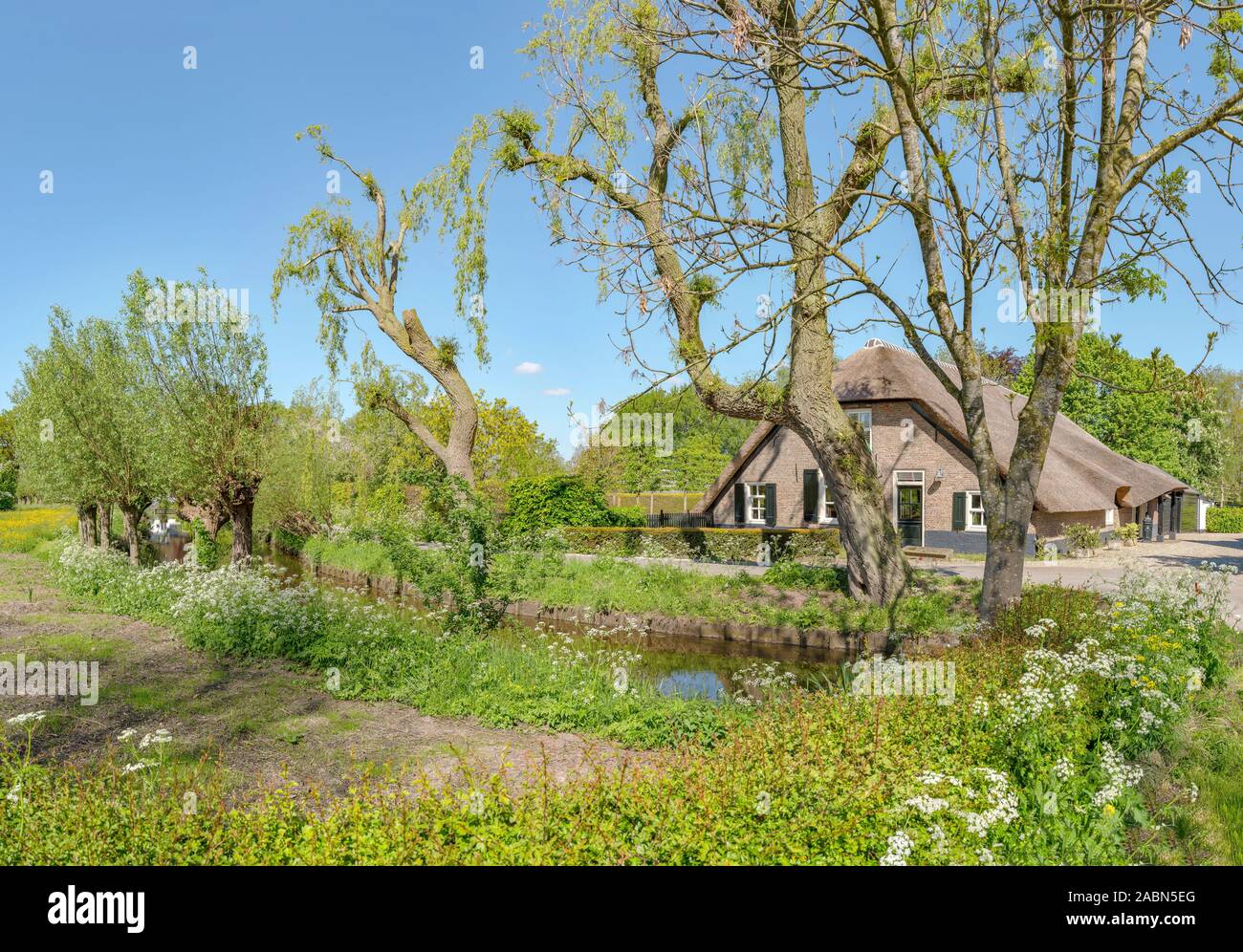 Farmhouse with thatched roof at a tree lined stream, Noordeloos, Zuid ...