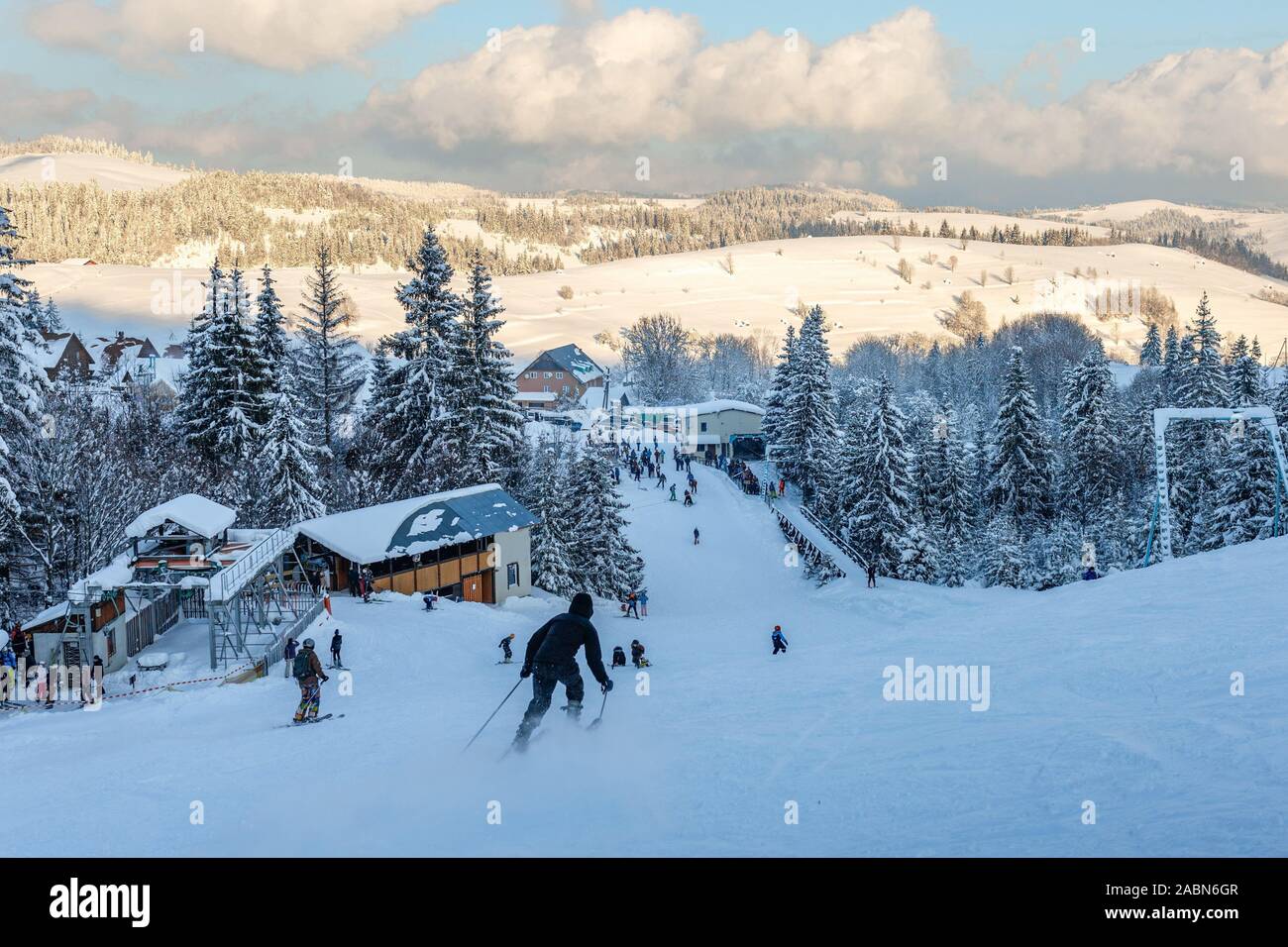 Trees and snow in a forest landscape with sun down hi-res stock ...