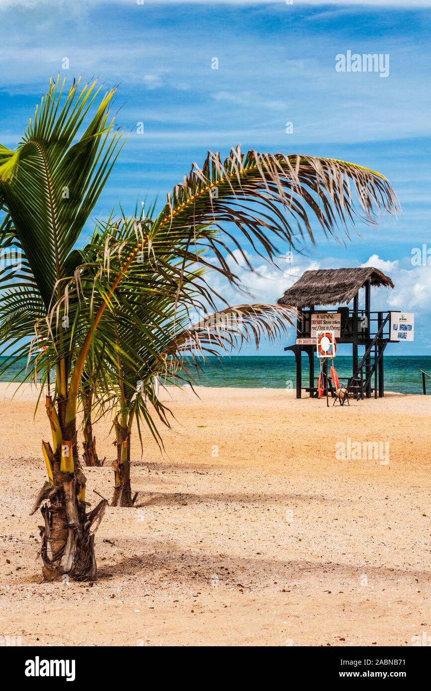 The beach at Kololi in The Gambia Stock Photo - Alamy
