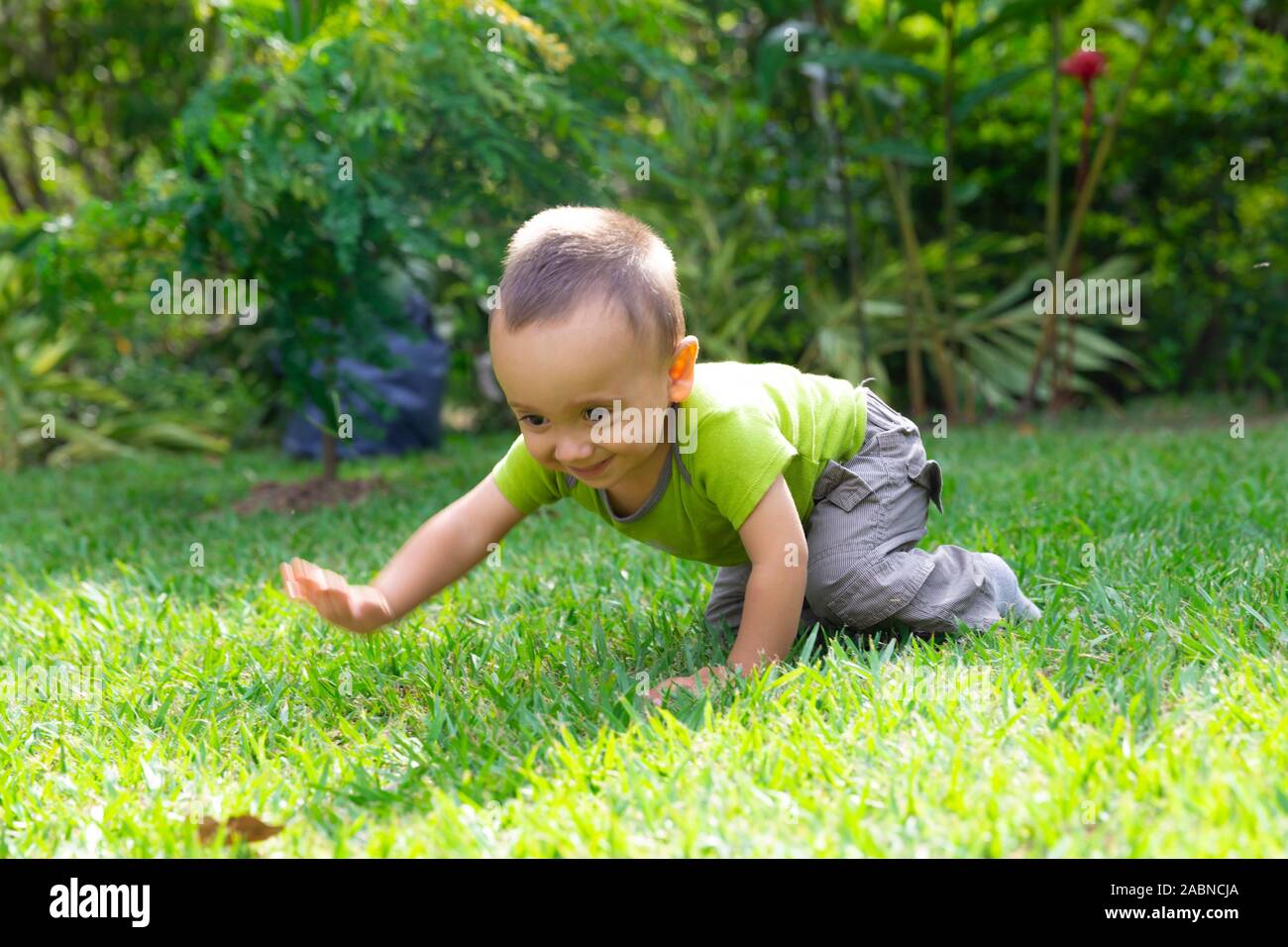 Happy Baby Boy Learning to Crawl in the Grass Stock Photo - Alamy