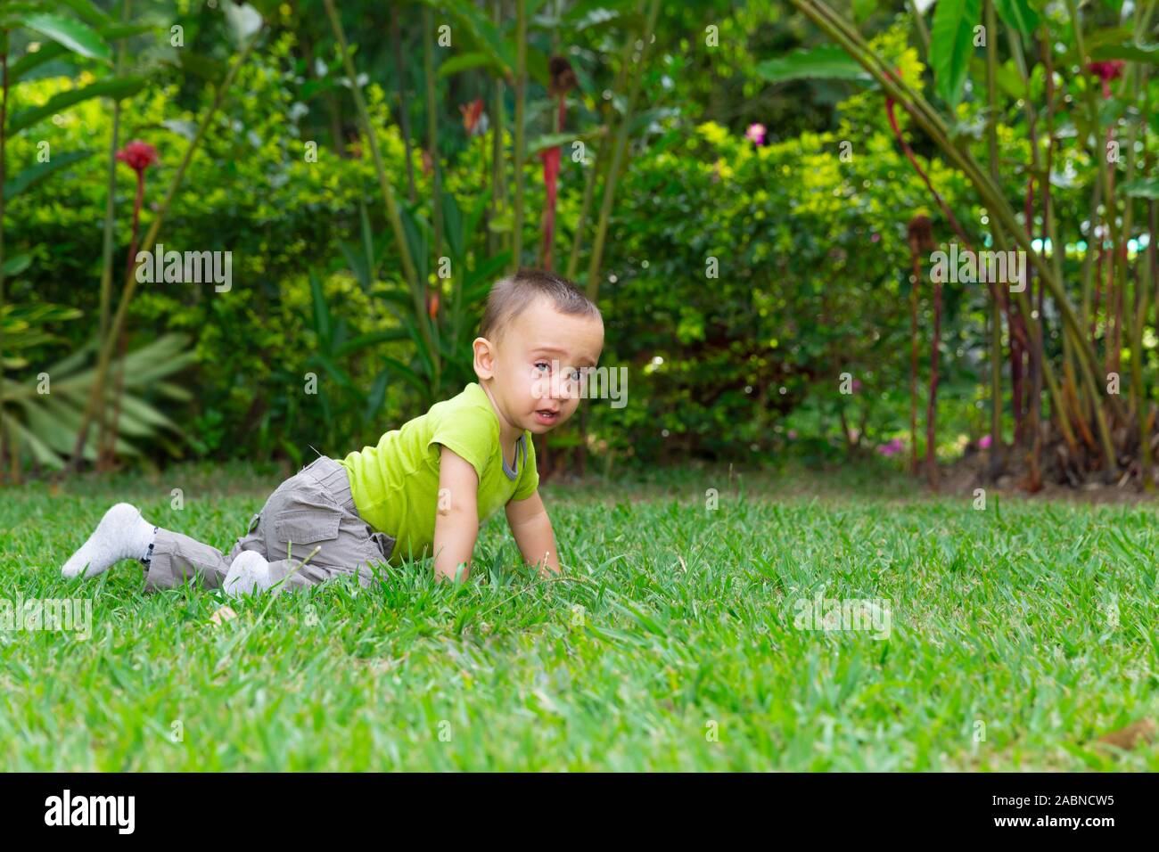 Sweet Sad Toddler Boy Crying in the Grass Stock Photo - Alamy