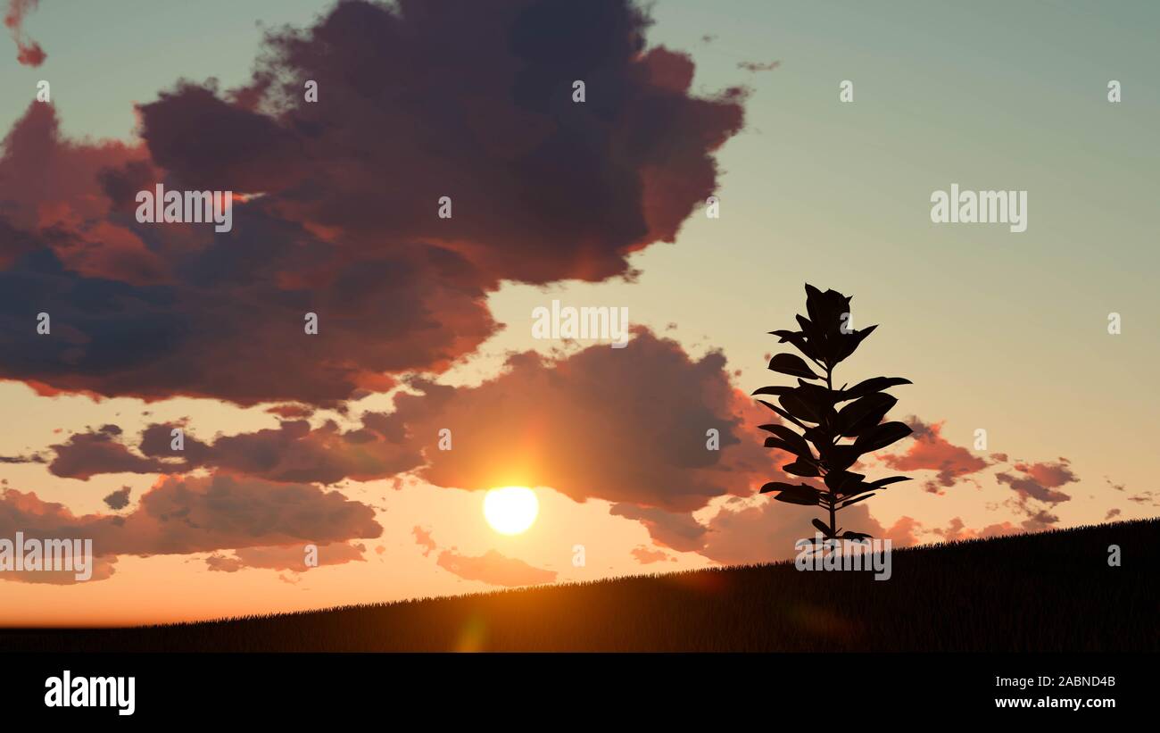 Plant at Sunset Landscape Background, 3D Rendering Stock Photo - Alamy